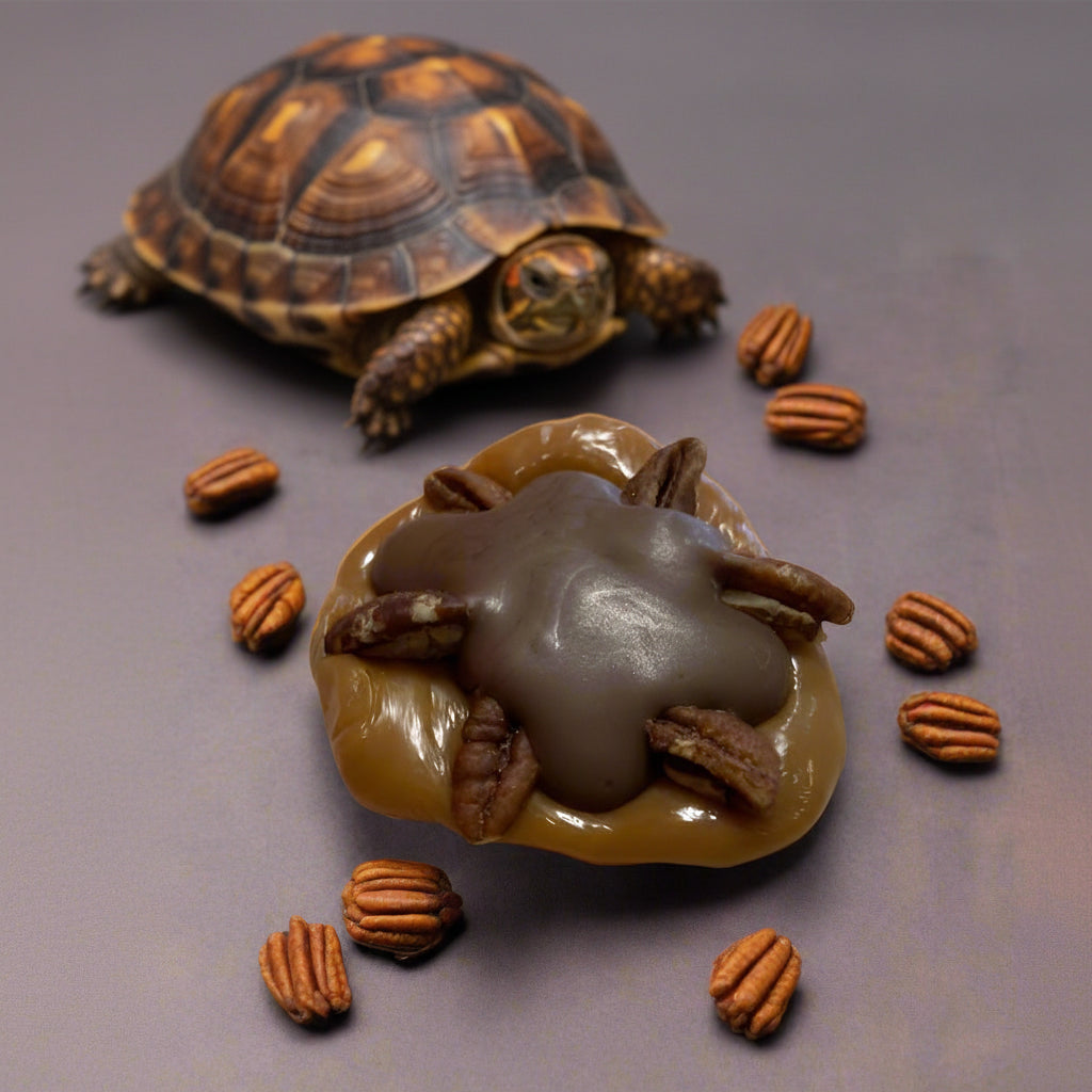 Pecan Caramel Turtles – BoardwalkMacaroons